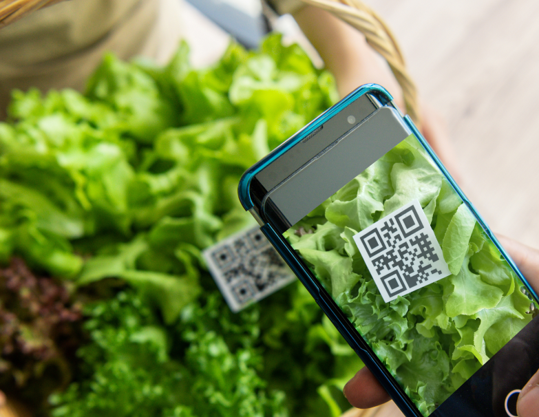 Giải pháp truy xuất nguồn gốc của iCheck